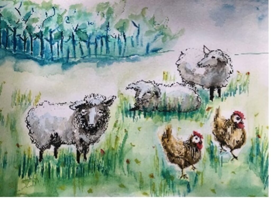 Voorbeeld van een rijke rekenvraag: schapen en kippen